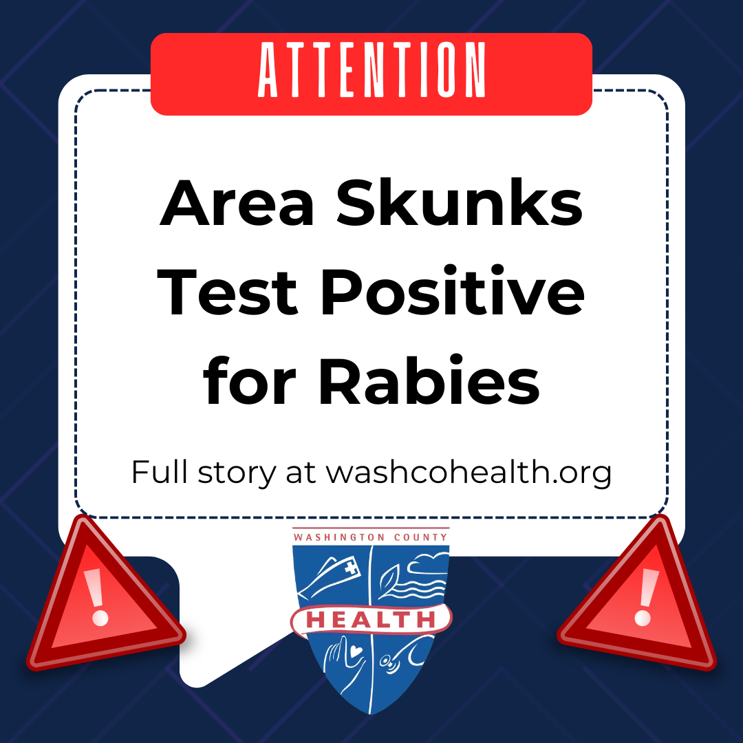Skunks in Our Area Test Positive for Rabies; Public Should Exercise ...